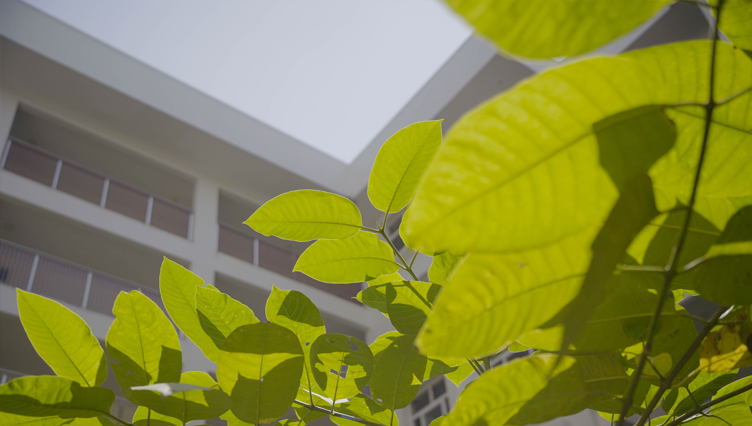 NPS Jayanagar – CBSE AFFILIATION NUMBER : 830822